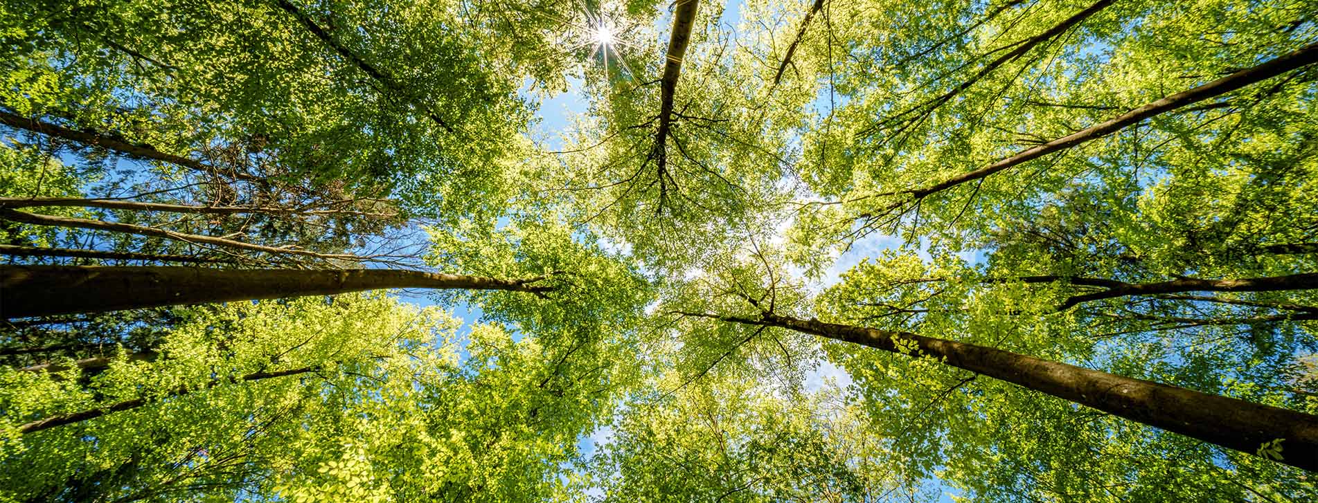 Our commitments | Synthomer