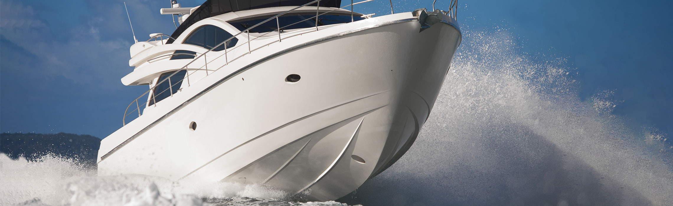 Polyvinyl acetate (PVAc) | Synthomer